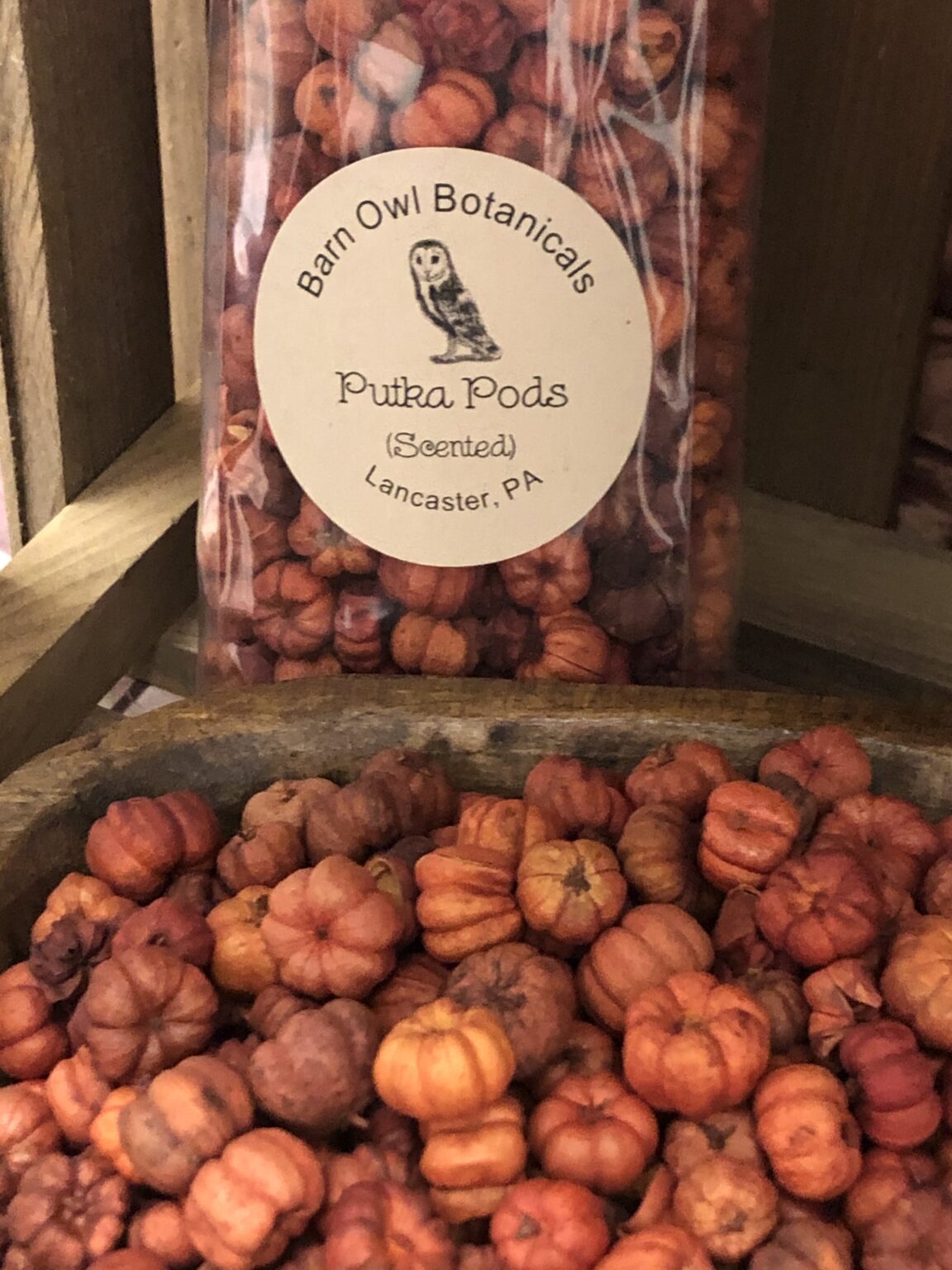 Putka Pods - Barn Owl Botanicals
